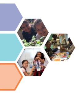 STEM Science Programs | Elementary Institute of Science